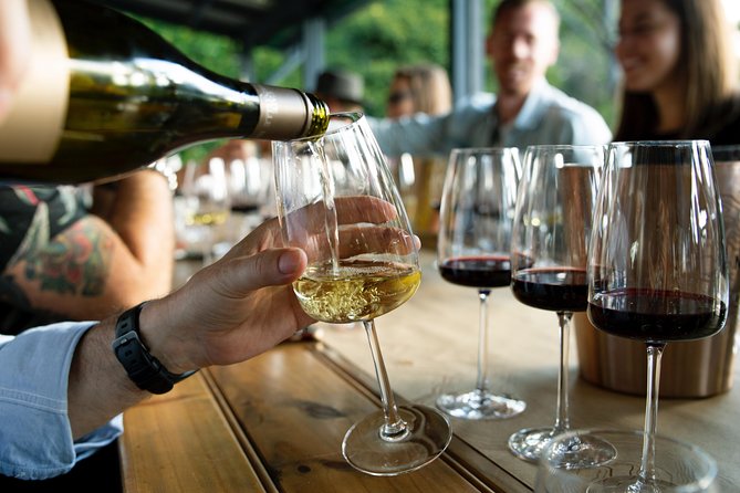 Cheese, Charcuterie and Wine Tasting in Ponta Delgada - Azores - Meeting and Accessibility