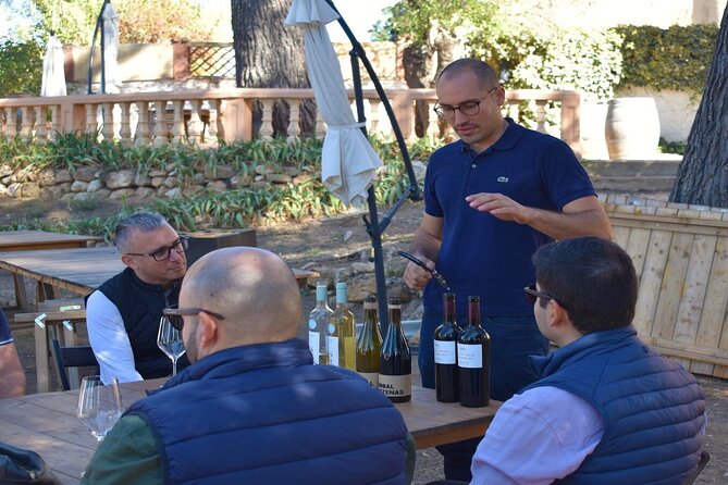 Cheese Factory Workshop with Wine Tasting in Requena, Valencia - Final Thoughts
