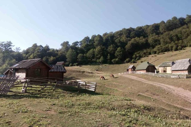 Cheese farm tour in the katun - Who Should Book This Tour?