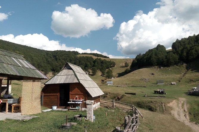 Cheese farm tour in the katun - The Sum Up