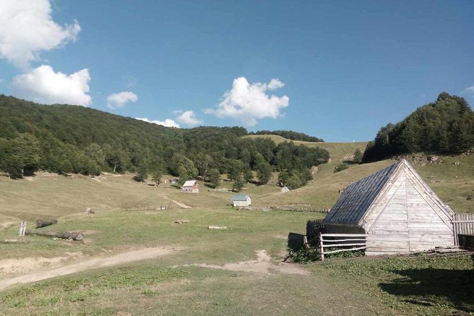 Cheese farm tour in the katun - FAQs about the Cheese Farm Tour in the Katun