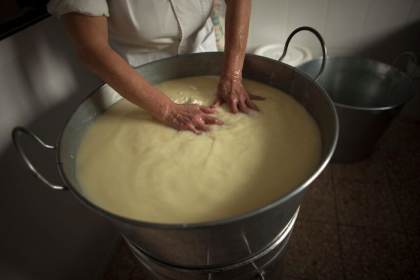 Cheese Making and Tasting Tour from Cagliari with Lunch - An In-Depth Look at the Sardinian Cheese Tour from Cagliari