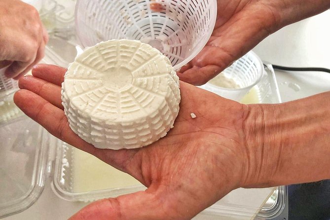 Cheesemaker for a Day & Visit to the Dairy - Tasting the Artisanal Cheeses