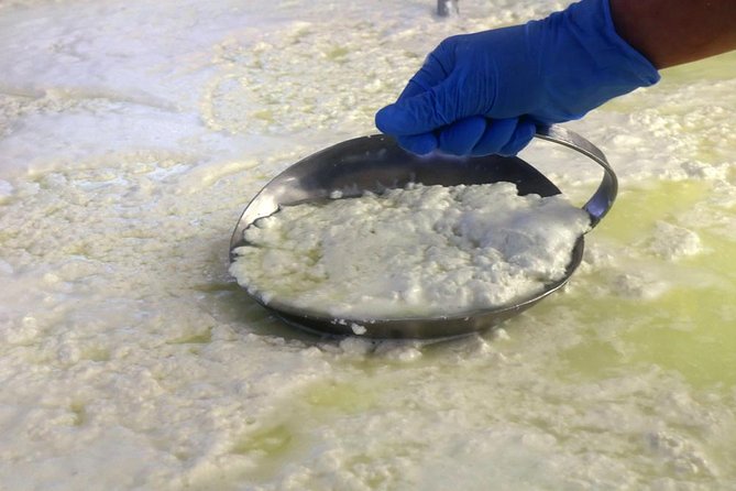Cheesemaker for a Day & Visit to the Dairy - Taking in the Sardinian Culture