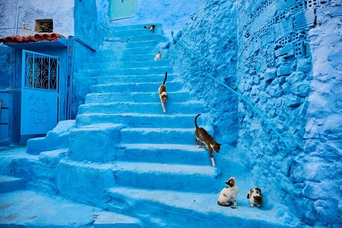 Chefchaouen Day Trip from Seville - Who Should Consider This Tour?