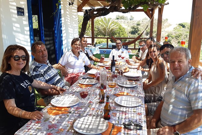 Chefcooking Paella From Our Andalusian Grandmother at a Family Farm - Group Size and Feedback Considerations