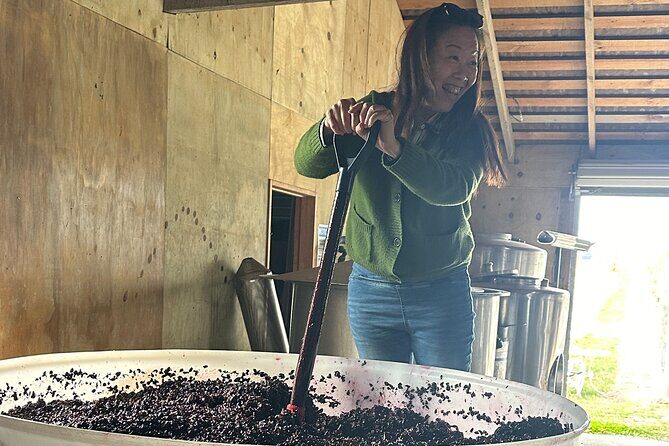 Chefs Private Martinborough Wine Tour with lunch from Wellington - Schubert Wines