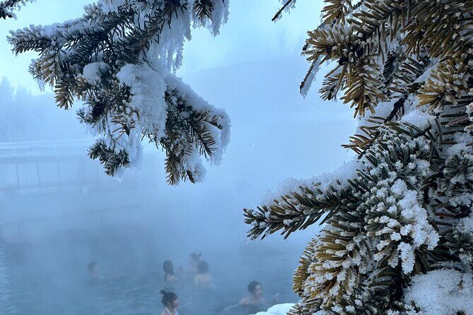 Chena Hot Spring Day Tour - Authentic Success Stories from Travelers