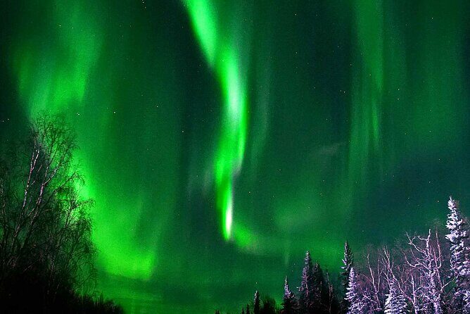 Chena Hot Springs Aurora Tour - A Closer Look at the Tour Experience