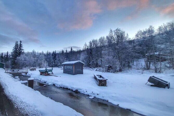 Chena Hot Springs Day Tour with transportation - Who Should Consider This Tour?