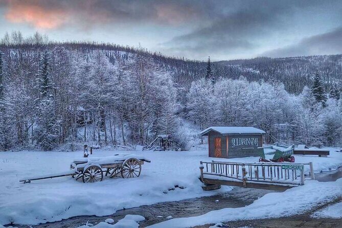 Chena Hot Springs Day Tour with transportation - The Sum Up