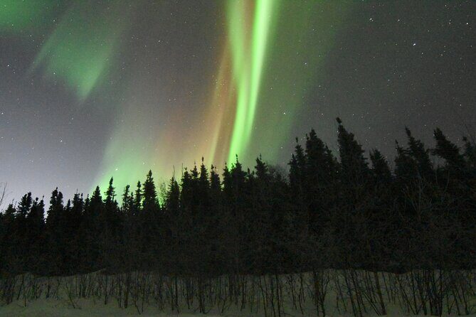 Chena Hot Springs Northern Lights Aurora Borealis From Fairbanks - Key Points