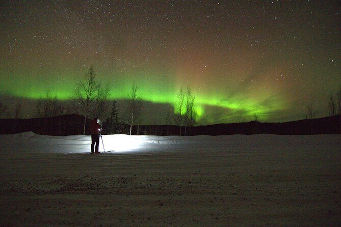 Chena Hot Springs Northern Lights Aurora Borealis From Fairbanks - Who Should Consider This Tour?