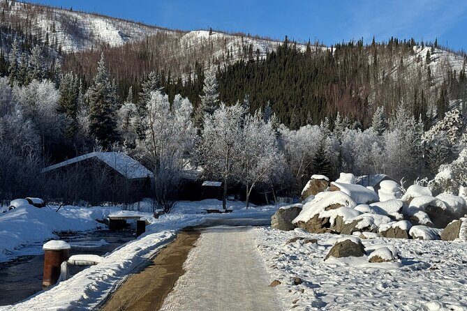 Chena Hot Springs Small Group Tour - The Sum Up