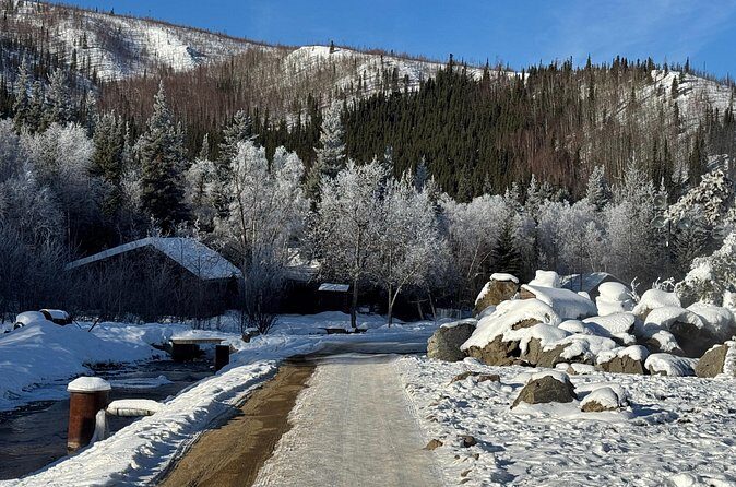 Chena Hot Springs Small Group Tour - FAQs