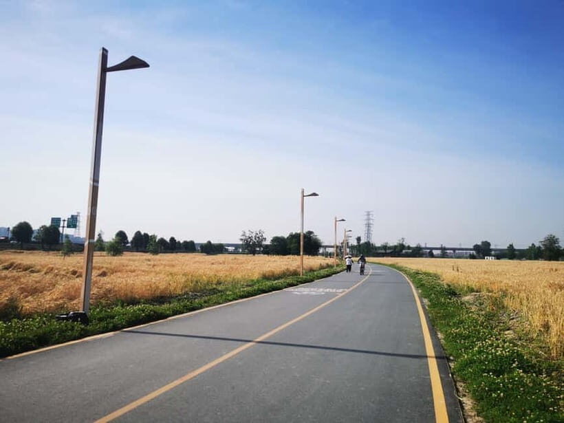 Chengdu: 100km Greenway Ring Road Cycling Challenge tour - Key Points
