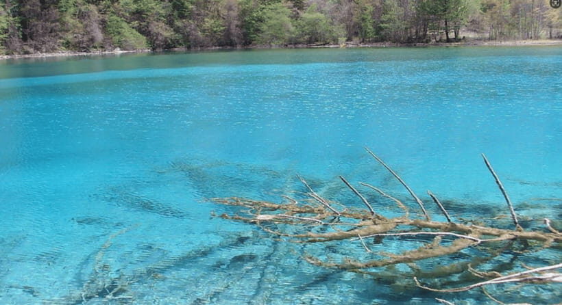 Chengdu 3-Day Self-Guided Jiuzhaigou&Huanglong with Transfer - Who Is This Tour Best For?