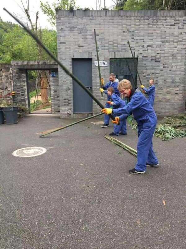 Chengdu: 4-Day Wolong In-Depth Panda Tour - An Intimate Panda Keeper Experience