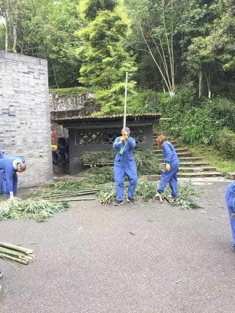 Chengdu: 4-Day Wolong In-Depth Panda Tour - Who Will Love This Tour?