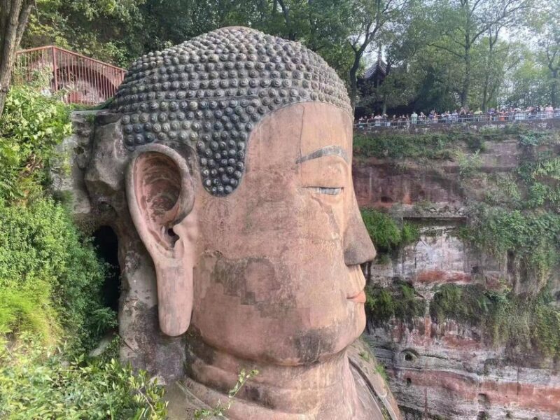 Chengdu: Chengdu Day Trip with Giant Panda and Leshan Buddha - Key Points