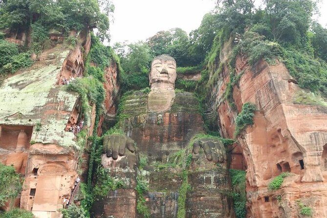 Chengdu Customized Experience: Giant Pandas and Buddha Statue In One Day - What This Tour Means for You