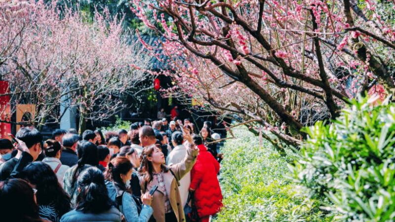 Chengdu: Du Fu Thatched Cottage Poetry Museum - The Experience: A Leisurely Journey into Poetry and Nature