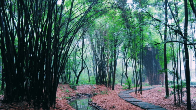 Chengdu: Du Fu Thatched Cottage Poetry Museum - FAQ