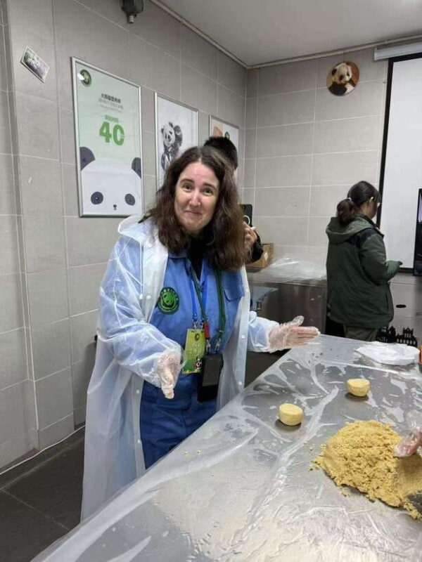 Chengdu: Dujiangyan Panda Base Volunteering Day Trip - The Detailed Itinerary and What to Expect