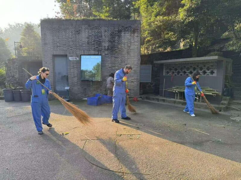 Chengdu: Dujiangyan Panda Base Volunteering Day Trip - Analyzing the Value and Practicality
