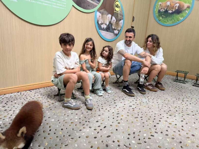 Chengdu: Dujiangyan Panda Base Volunteering Day Trip - Authentic Perspectives from Travelers