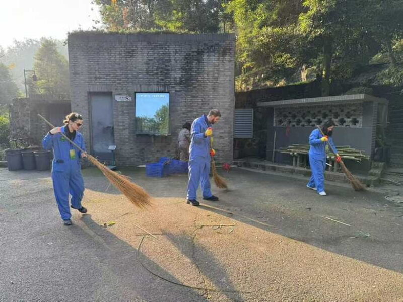 Chengdu: Dujiangyan Panda Base Volunteering Day Trip - The Sum Up