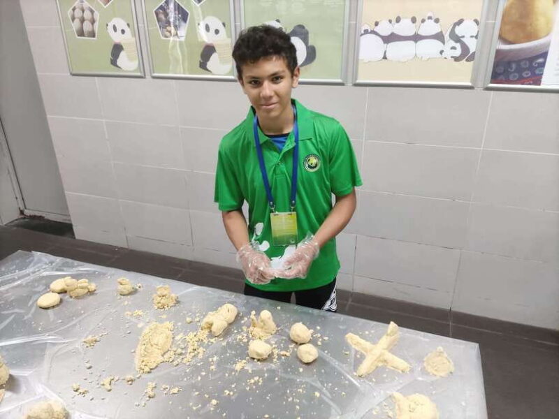 Chengdu: Dujiangyan Panda Volunteer Program with Lunch - What’s Included and What to Consider