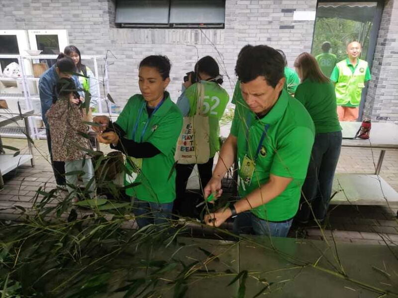 Chengdu: Dujiangyan Panda Volunteer Program with Lunch - Final Thoughts: Who Is It Best For?