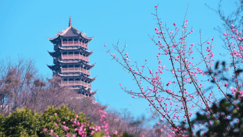 Chengdu: Dujiangyan Worlds Oldest Water Conservancy Project - Authentic Insights from Other Travelers