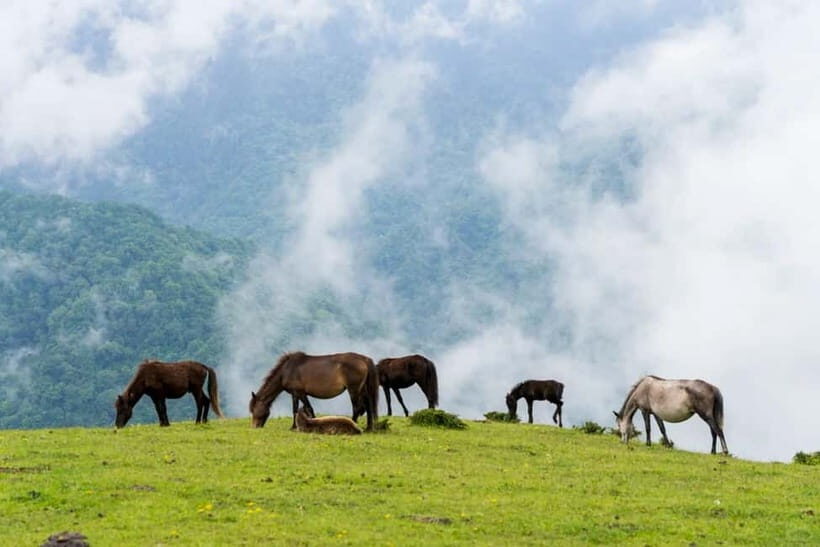 Chengdu: Ganhaizi Hidden Paradise Day Trip with Hike - Key Points