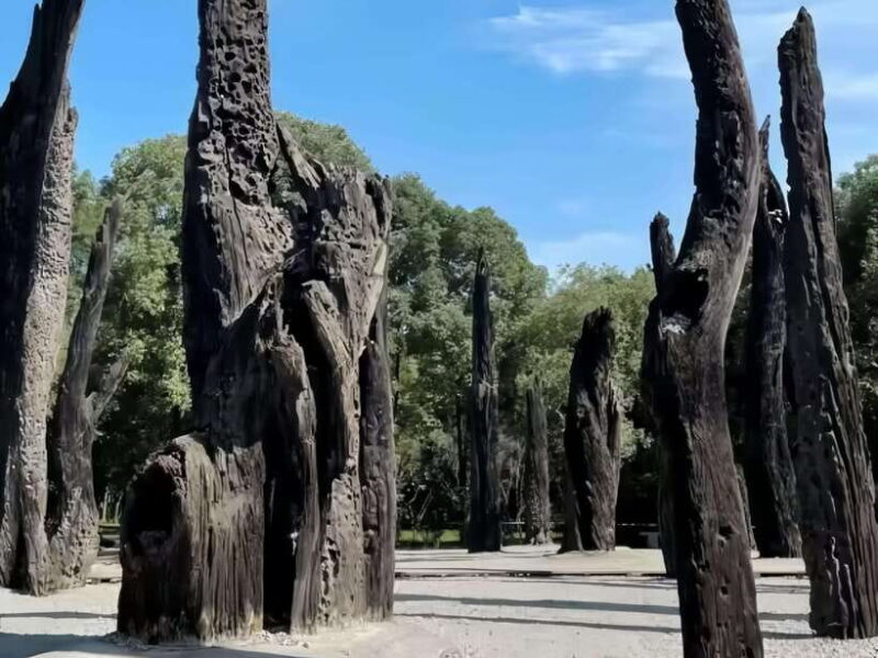 Chengdu Intangible Cultural Heritage One-Day Tour - Final Thoughts: Who Is This Tour For?