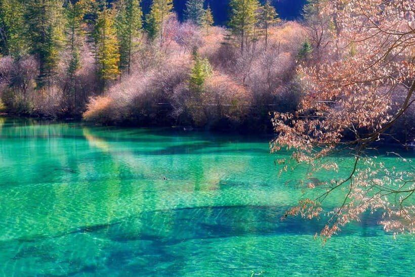 Chengdu: Jiuzhaigou+Huanglong 2-Day private Tource - Final Thoughts: Is It Worth It?