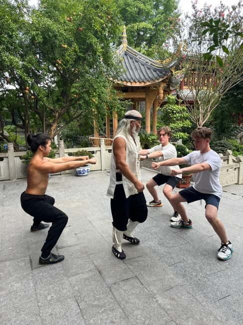 Chengdu: Kung Fu Panda Tour, Tai Chi,Martial Arts&Panda base - Learning Tai Chi and Martial Arts at Qingcheng Mountain