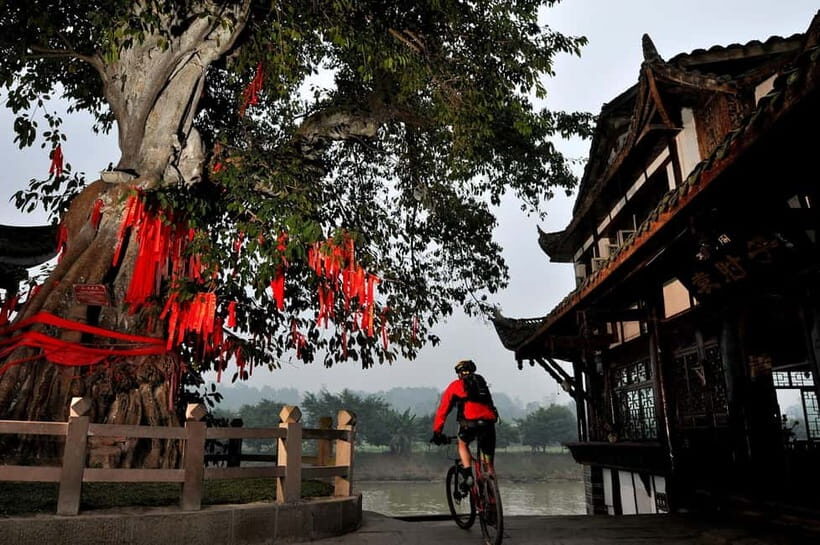 Chengdu: Leshan Giant Buddha & Huanglongxi Ancient Town Tour - Who Would Love This Tour?