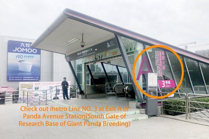 Chengdu Panda Base Half Day Tour - In-Depth Review of the Chengdu Panda Base Half Day Tour