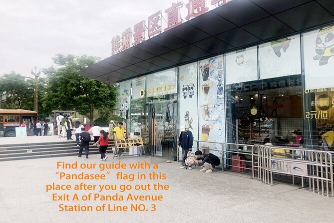Chengdu Panda Base Half Day Tour - The Sum Up