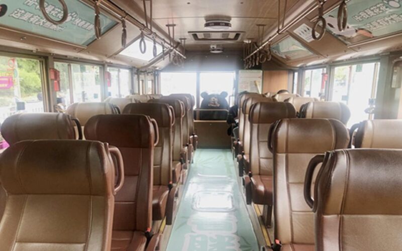 Chengdu panda base half day tour - Key Points