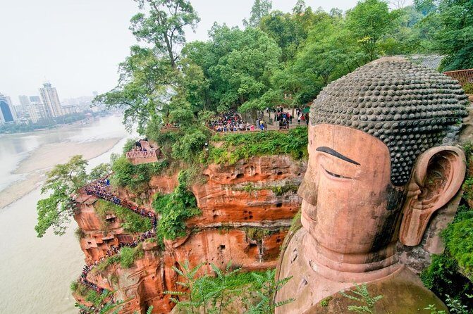 Chengdu: Panda Base Leshan Buddha English-guided Group Tour - Chengdu: Panda Base Leshan Buddha English-guided Group Tour – A Detailed Review
