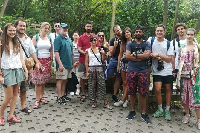 Chengdu: Panda Base Leshan Buddha English-guided Group Tour - What Travelers Say