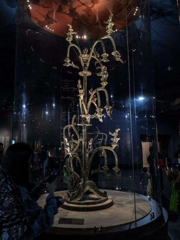 Chengdu Panda Base & Sanxingdui Museum One Day Private Tour - The Sum Up