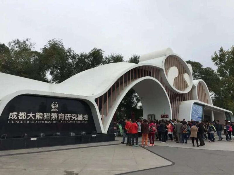Chengdu: Panda Base Tour/Ticket Only Option - Key Points