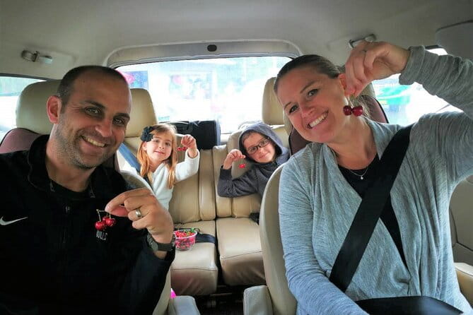 Chengdu Panda Breeding Base Ticket w/ Optional Transfer or Guide - An In-Depth Look at What You Can Expect