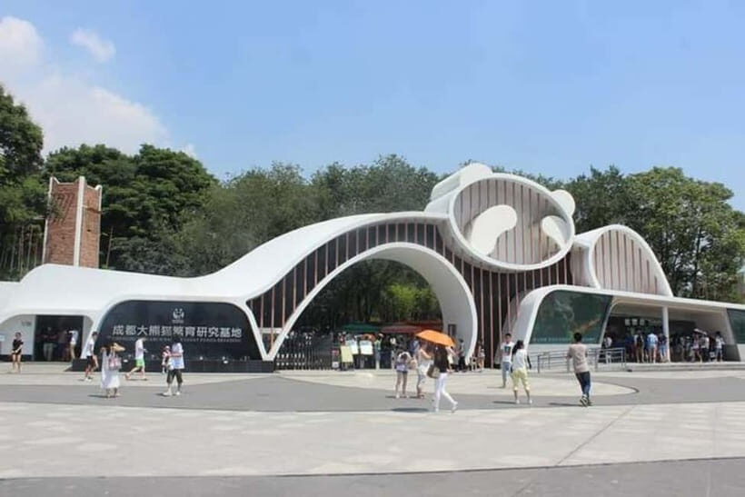 Chengdu: Panda Research Base Ticket or Volunteer Day Trip - The Practicalities: How It All Comes Together