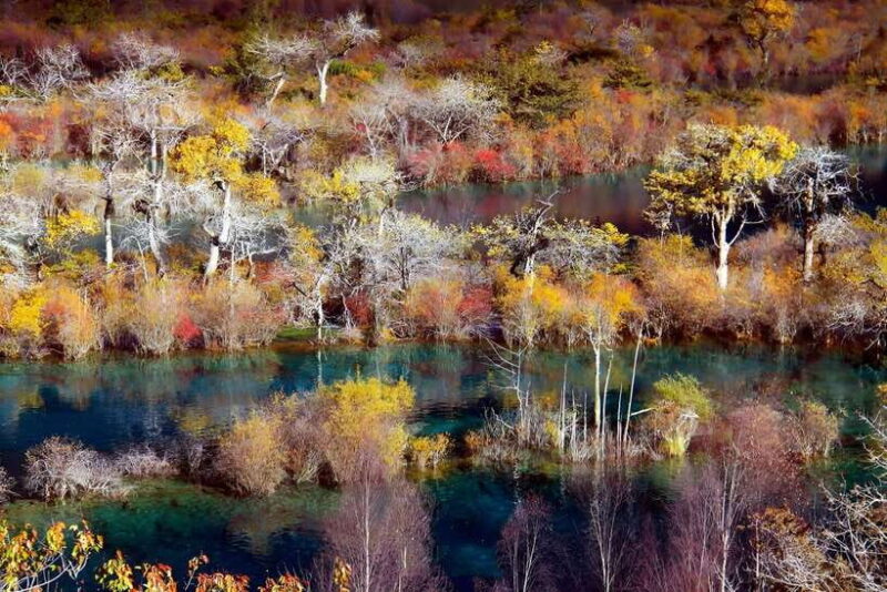 Chengdu: private 2-Day Huanglong Jiuzhaigou tour by train - FAQ