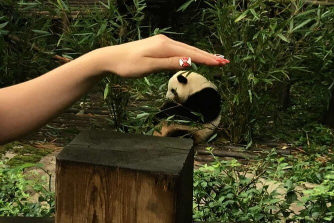 Chengdu Private Day of City Highlights and Panda Experience - Key Points